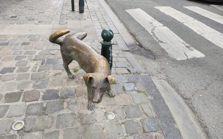 Solo Travel Brussels - The Ultimate Guide